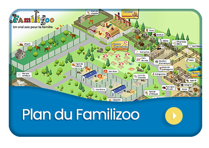 Zoo et refuge animal | Familizoo